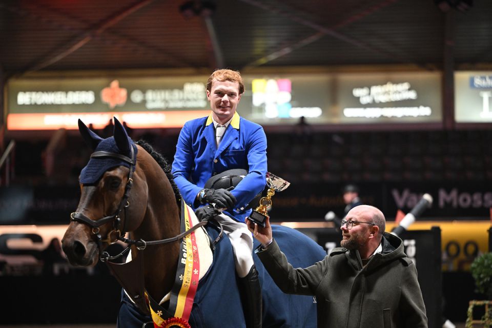 Django Z triomphe dans la Belgian Stallion Competition