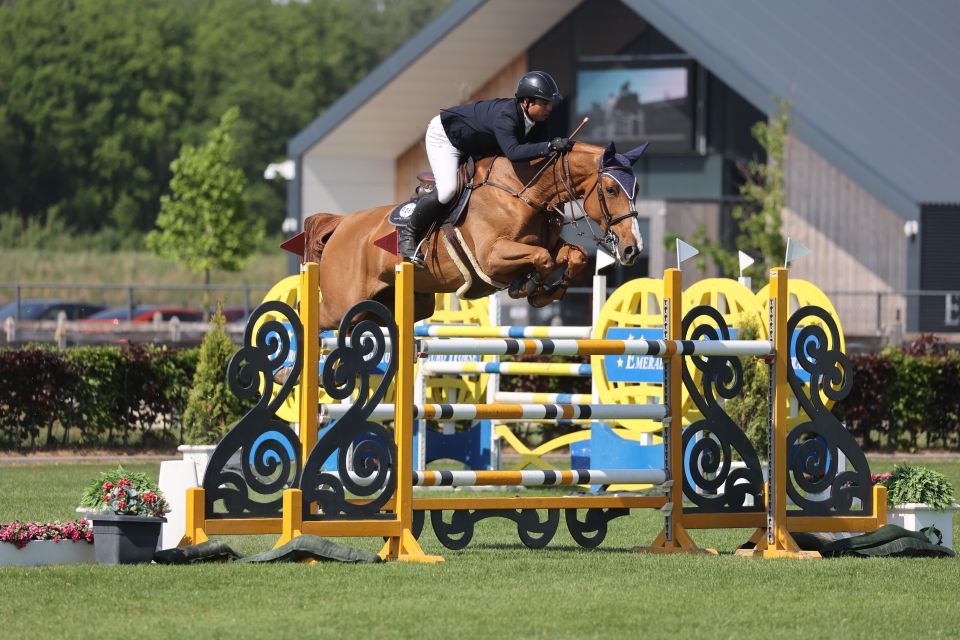 Epleaser Von 't Heike Z ist bester Vater von 1,60m Pferden im Jahr 2023