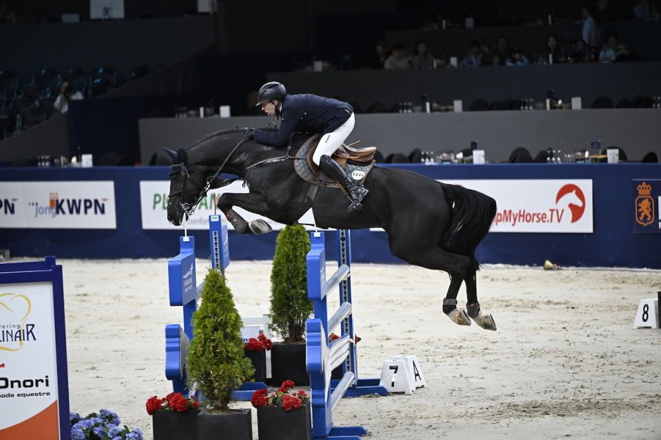 Aganix du Seigneur Z en Caribis Z leveren premiehengsten bij KWPN