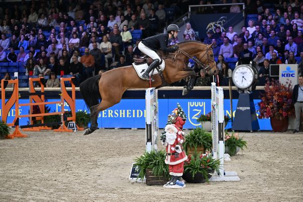 Déjà-vu in Mechelen: Gilles Thomas und Saladin 'S' jetzt auch bei den 7 ...