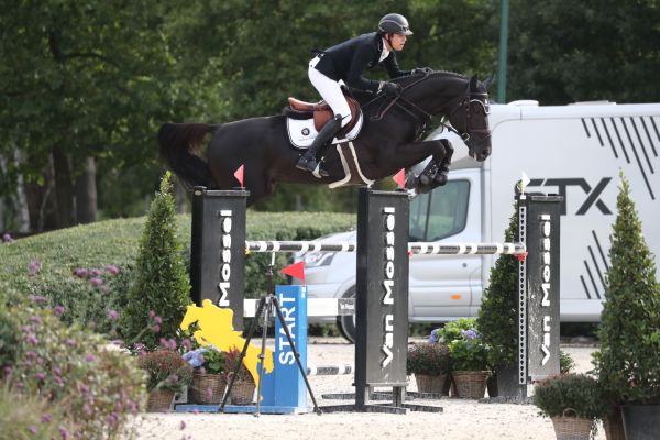 DOMINATOR 2000 Z - His legacy is already written! | Studfarm Zangersheide