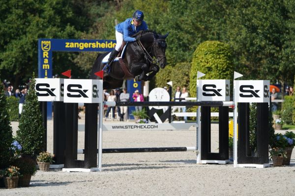 Z stallions in the sport | Zangersheide