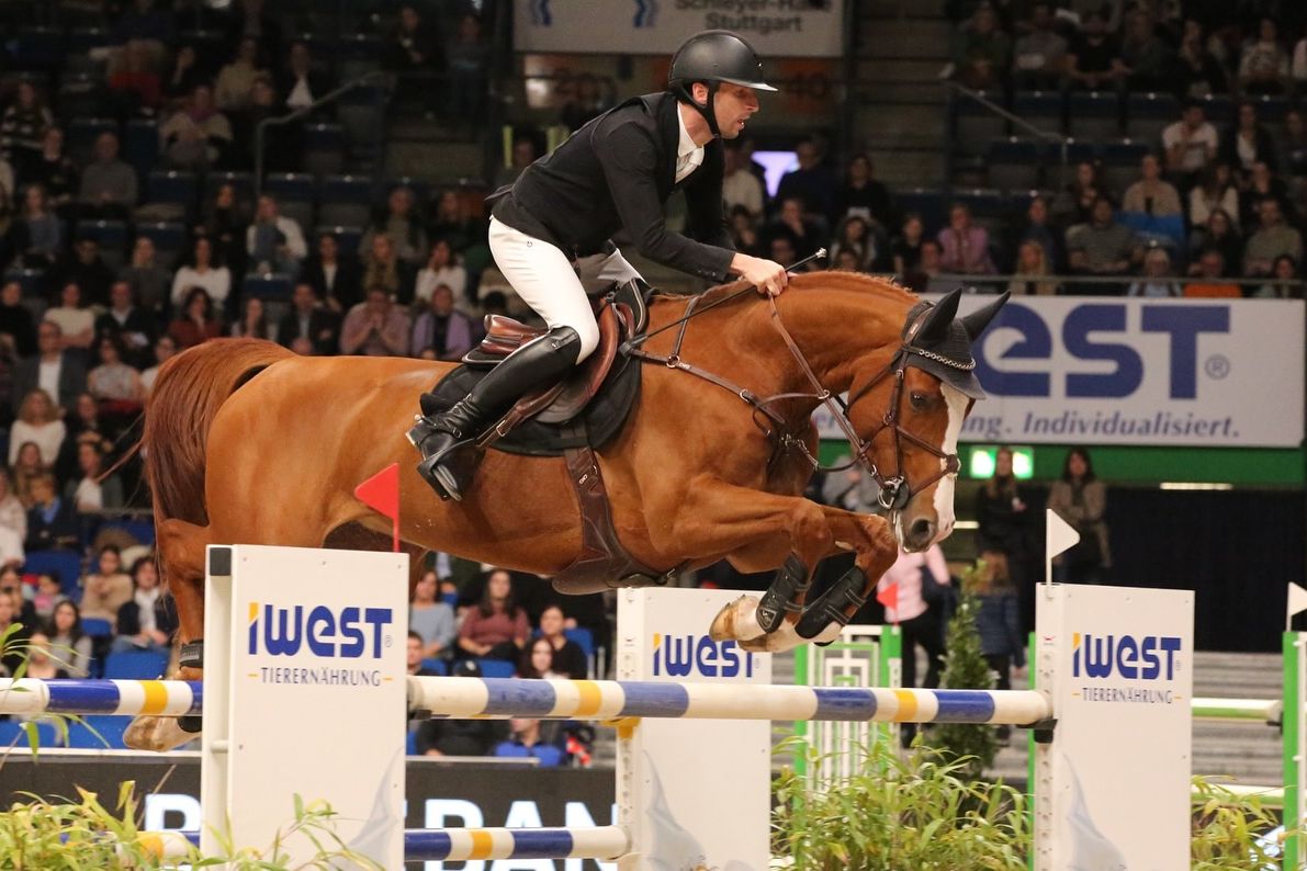 Cicero Z-Tochter Jarina J triumphiert in Stuttgart