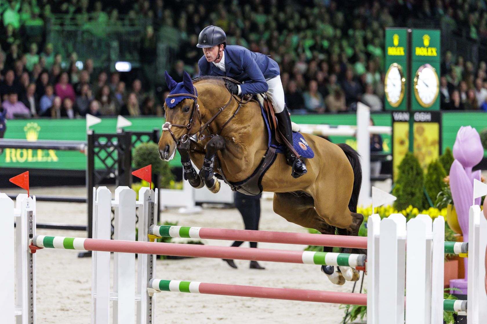 Ben Maher’s Faltic HB Z joins Studfarm Zangersheide for the 2026 ...