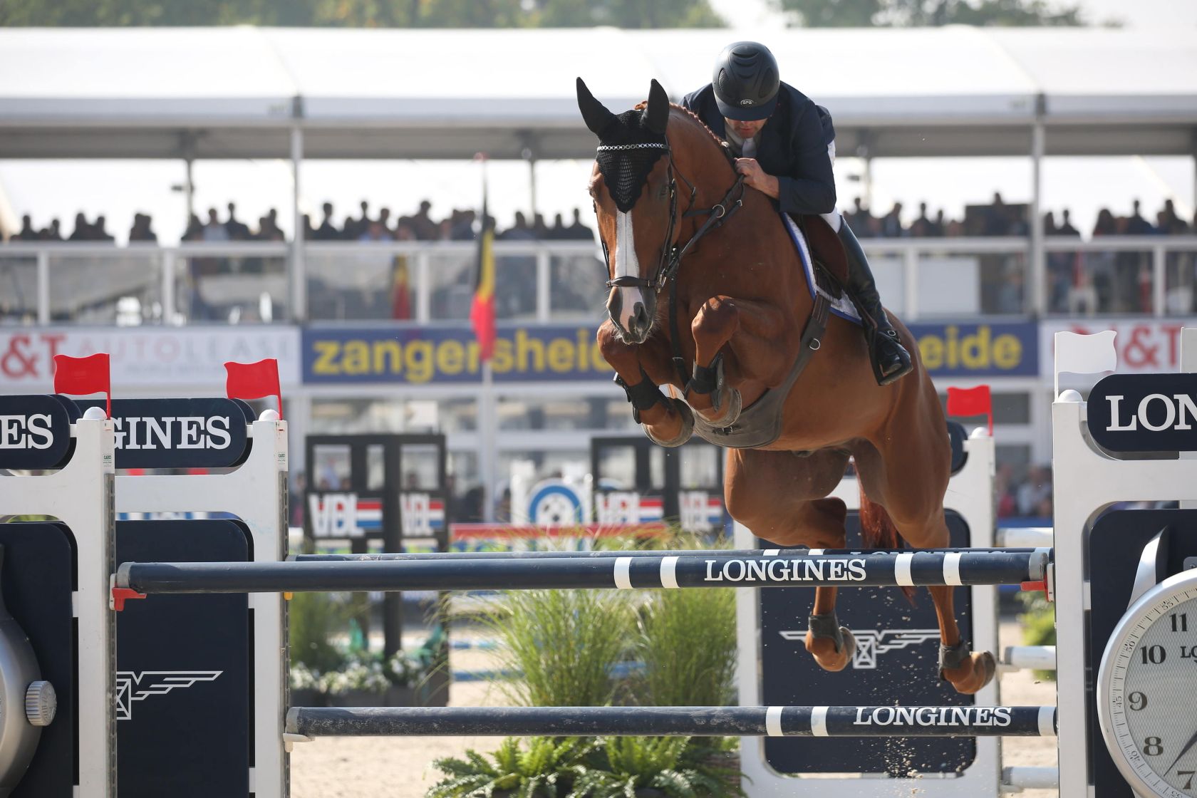 Ben Verheij talks about his great passion…breeding showjumper horses
