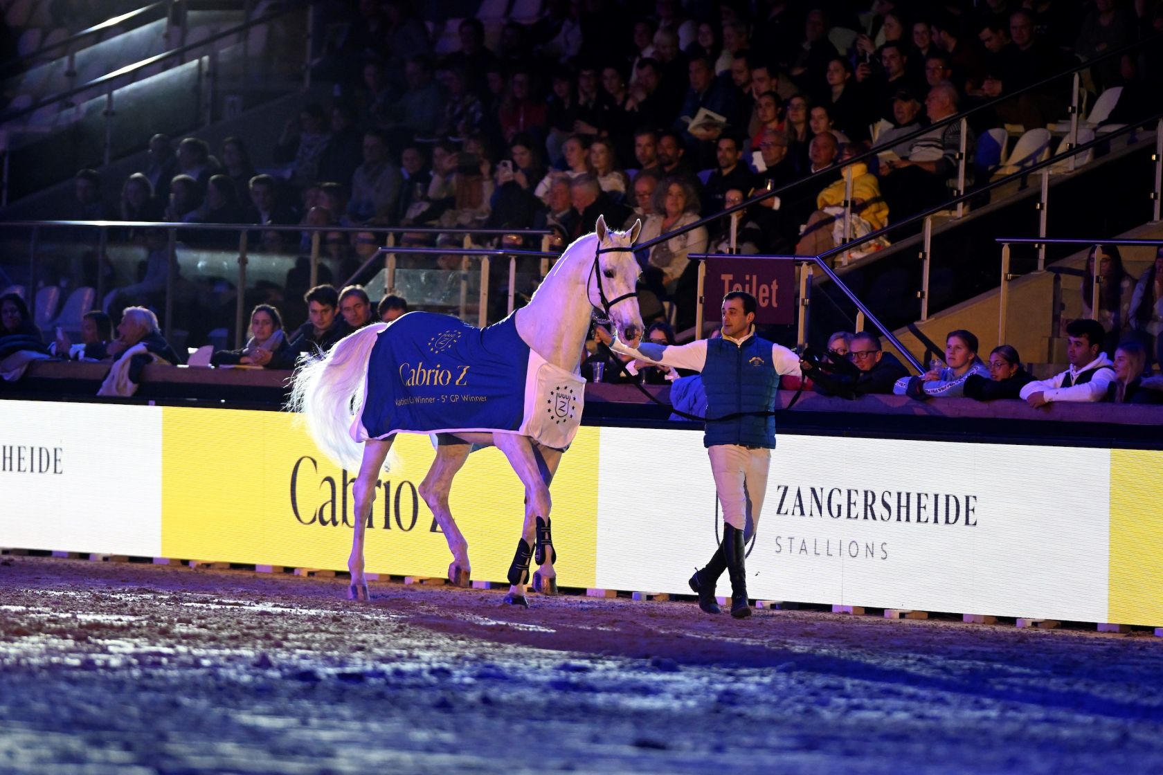 Zangersheide Stallion Presentation 2025