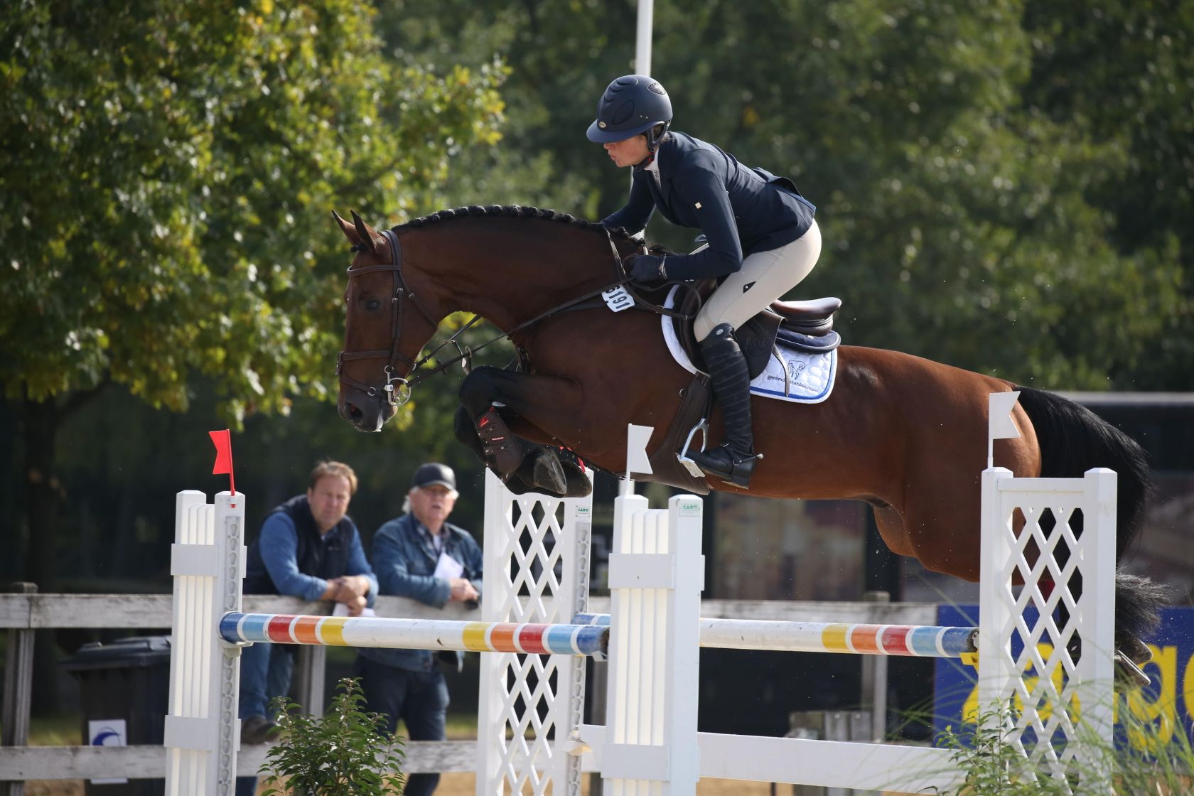 Ben Verheij talks about his great passion…breeding showjumper horses