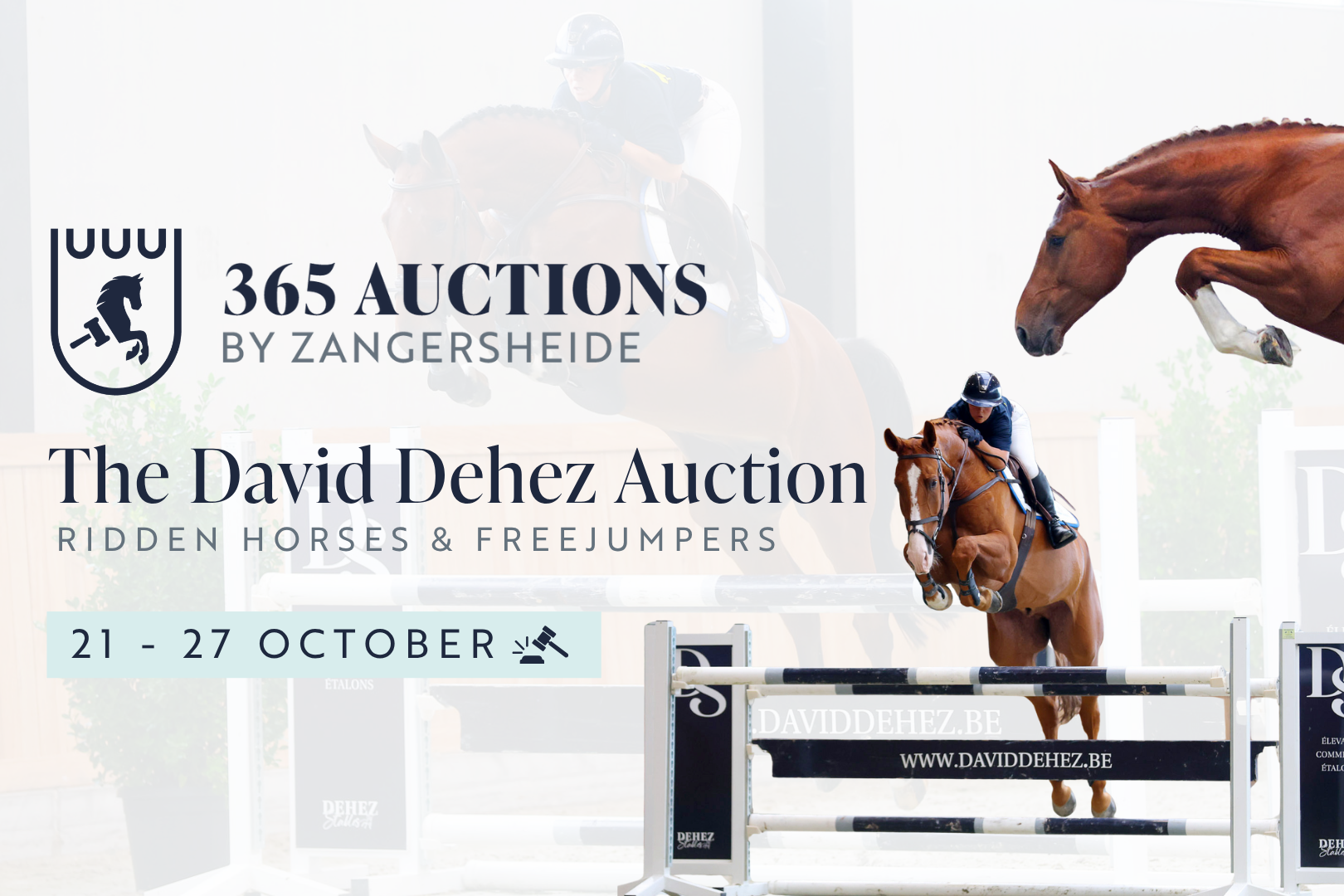 365 Auctions by Zangersheide - The David Dehez Auction (21-27 OCT)