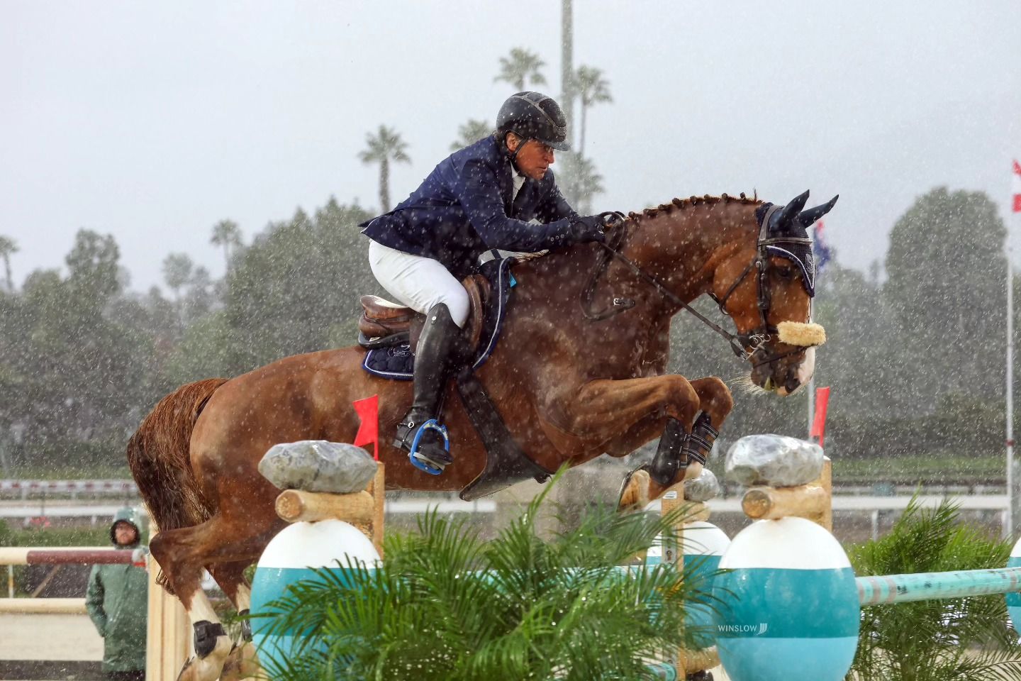 A California podium moment for Scoop de Septon Z