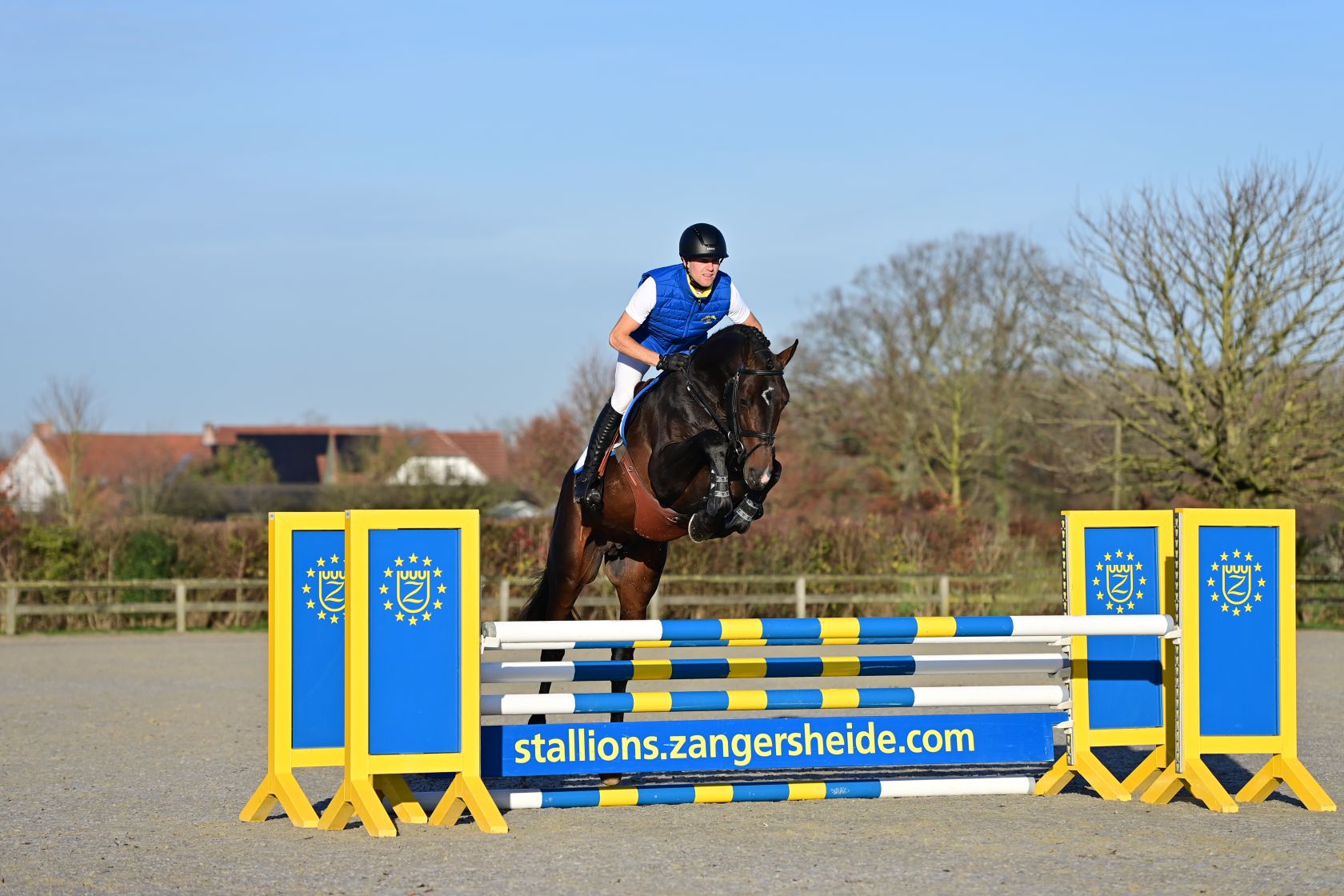 Z stallions in the sport | Zangersheide