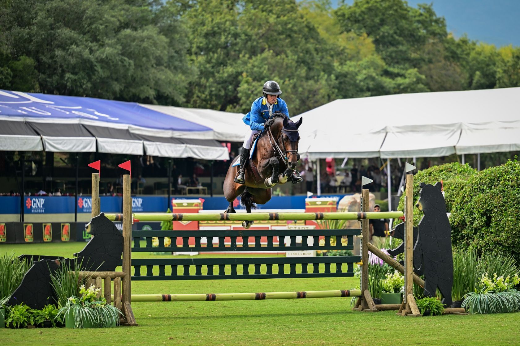 Un nouveau succès au Grand Prix pour Dourkhan Hero Z