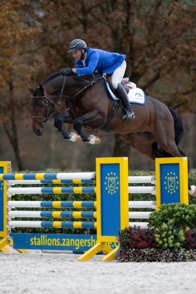 DJANGO Z - A rising star in motion! | Studfarm Zangersheide