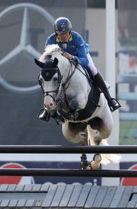 CARIBIS Z - Our blue-eyed phenomenon! | Studfarm Zangersheide