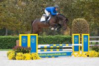 DJANGO Z - A rising star in motion! | Studfarm Zangersheide