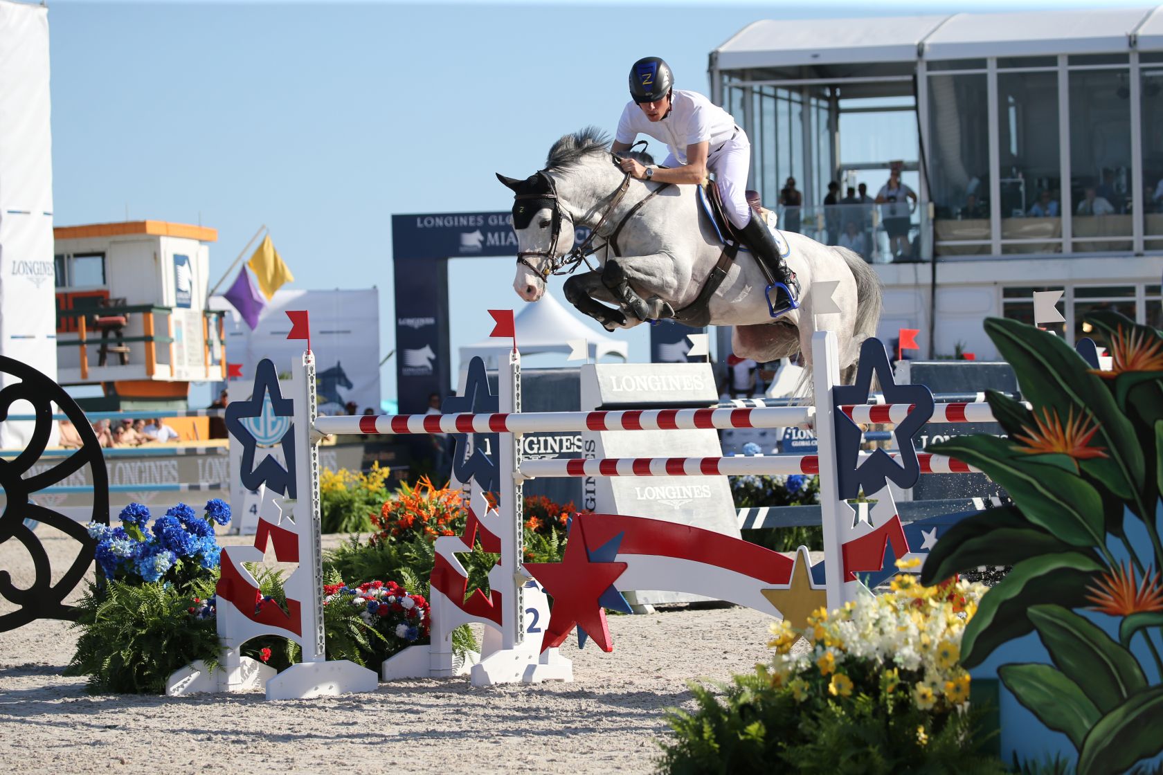CARIBIS Z - Our blue-eyed phenomenon! | Studfarm Zangersheide