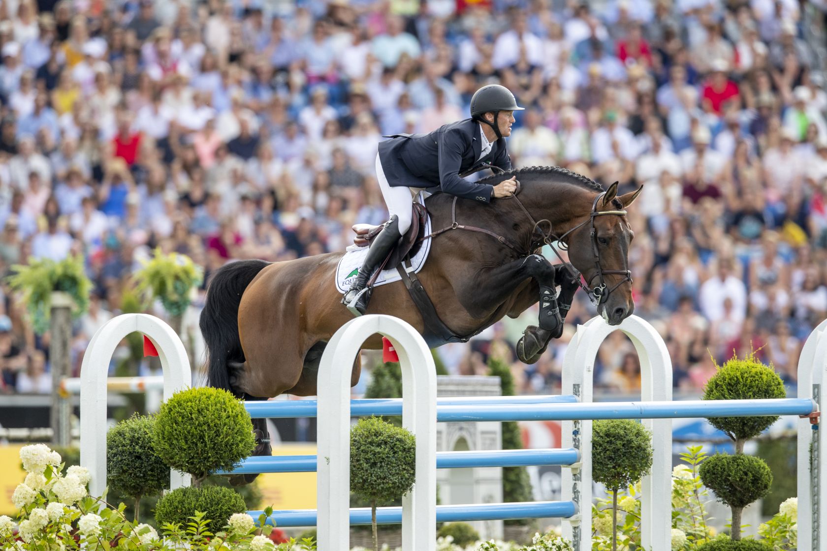 JENSON VAN 'T MEULENHOF Z - His legacy calls for a drumroll! | Studfarm ...