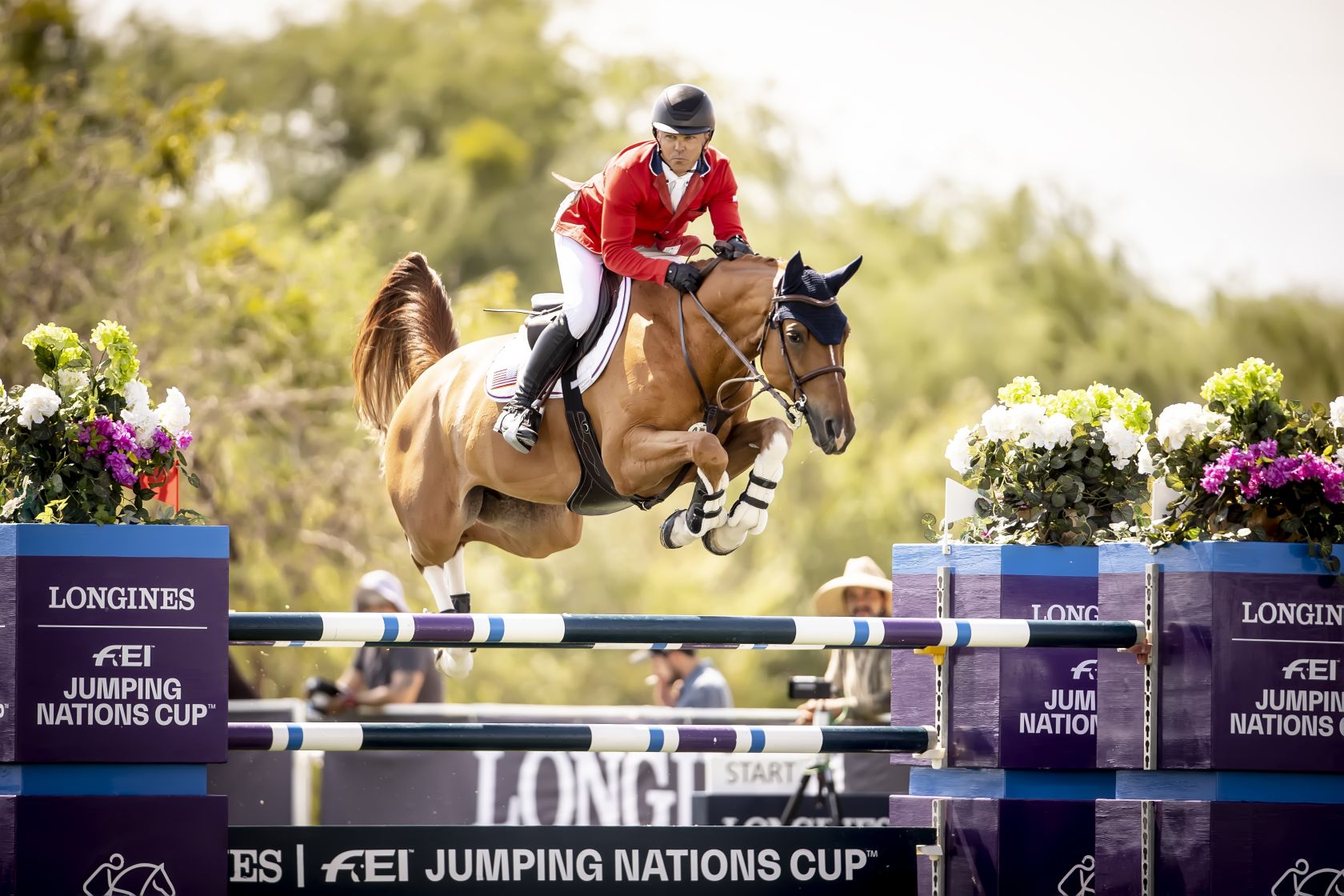 COMILFO PLUS Z - FUTURE-PROOF! | Studfarm Zangersheide