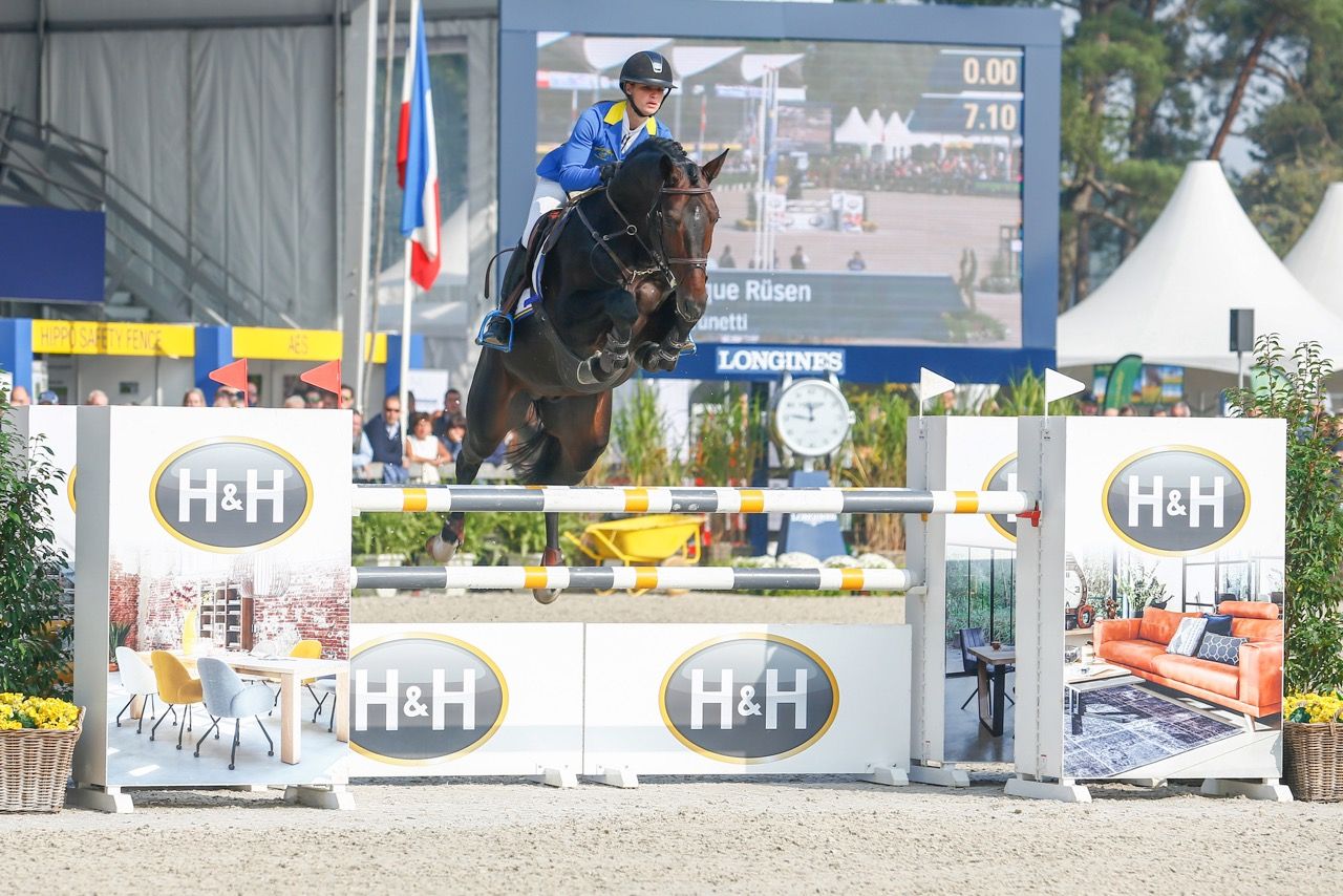 BRUNETTI Z - TAKE THAT CHANCE! | Studfarm Zangersheide