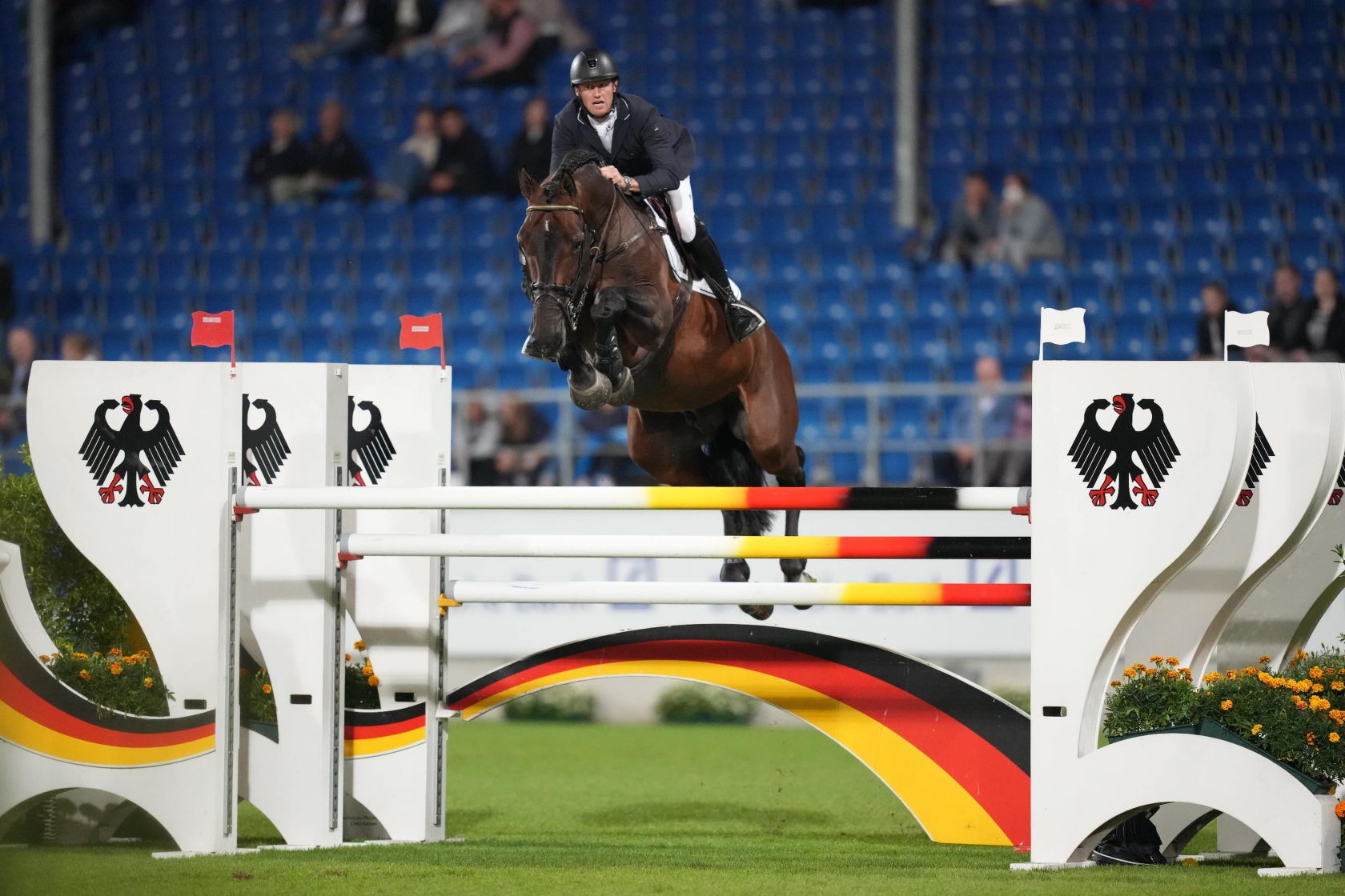 JENSON VAN 'T MEULENHOF Z - His legacy calls for a drumroll! | Studfarm ...