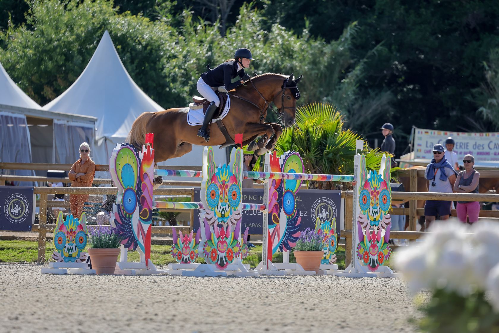 JENSON VAN 'T MEULENHOF Z - Power and precision in perfect balance ...